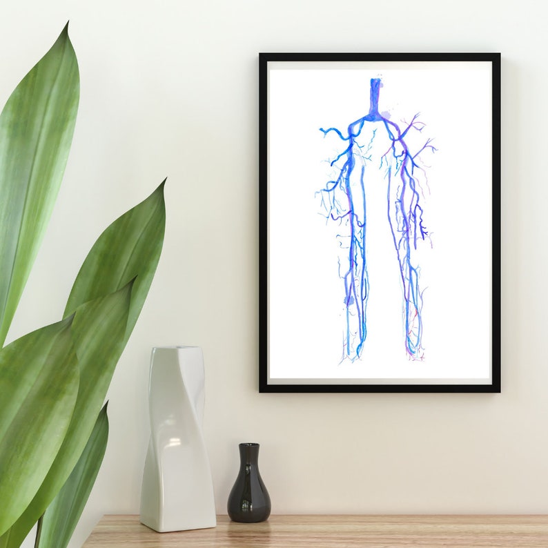 Lower Limb CTA, Radiology Art, Angio Tech, Vascular Surgery Fellowship ...