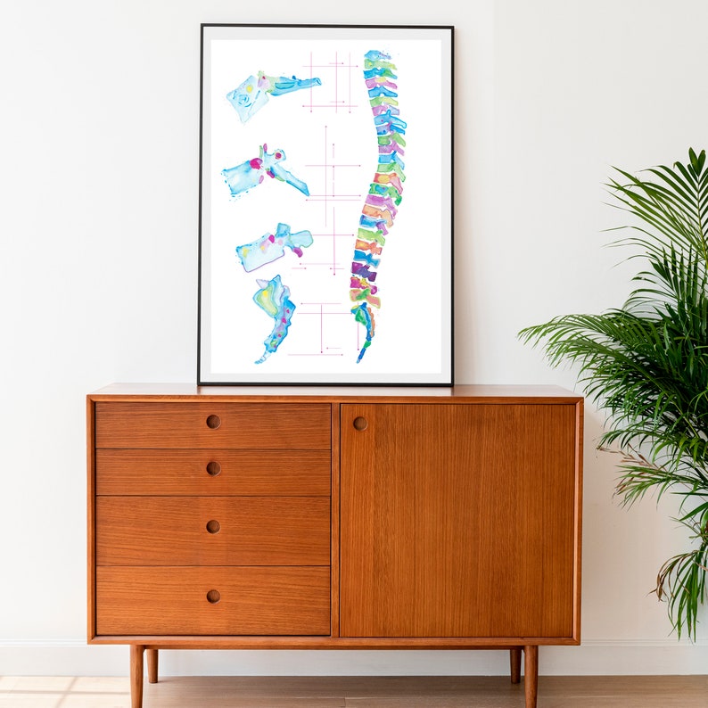 Spine Anatomy Abstract Art Print Chiropractic Office Art - Etsy