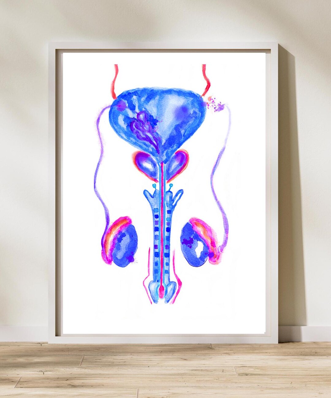 Urology Art, Urologist Gift, Male Reproductive Organs, Urology Office ...