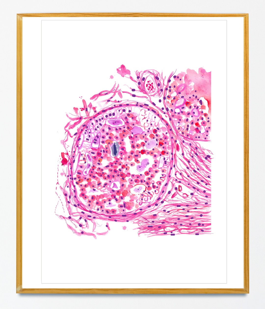 Breast Histology Ductal Cc. Histology Art Pathology Art Pathology ...