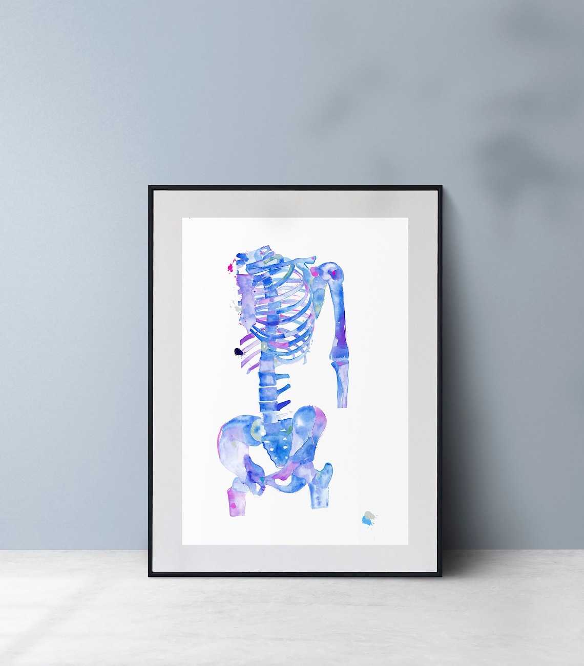 Skeleton Anatomy Art Human Anatomy Art Physical Therapy - Etsy Australia