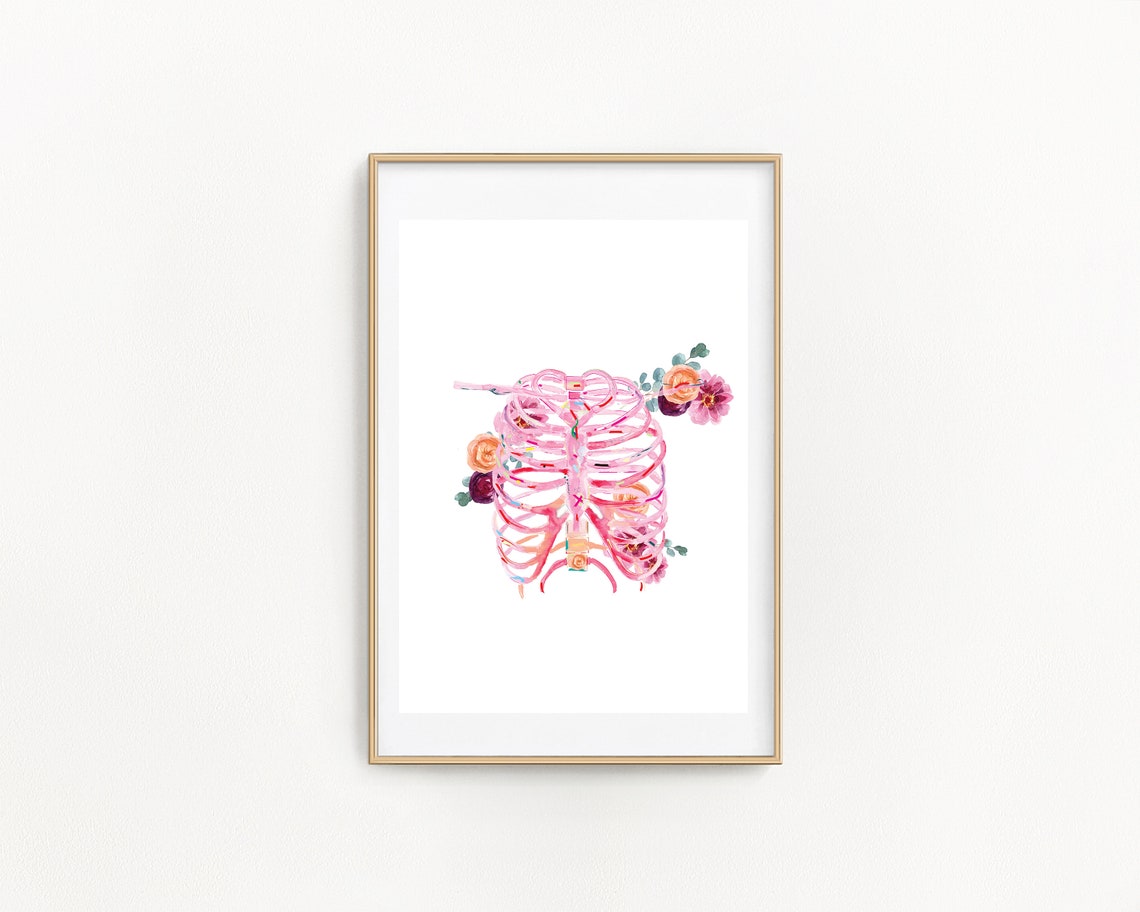 Ribcage Anatomy Art Phyisiotherapy Artwork Chiropractic | Etsy