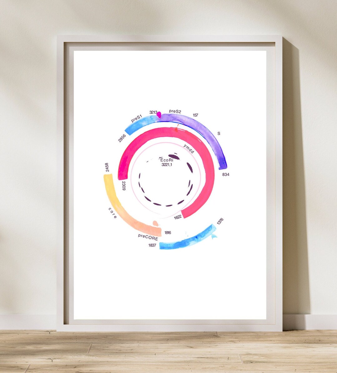 HBV Art, Hepatitis B Virus Genome, Microbiology Art, Virology Art ...