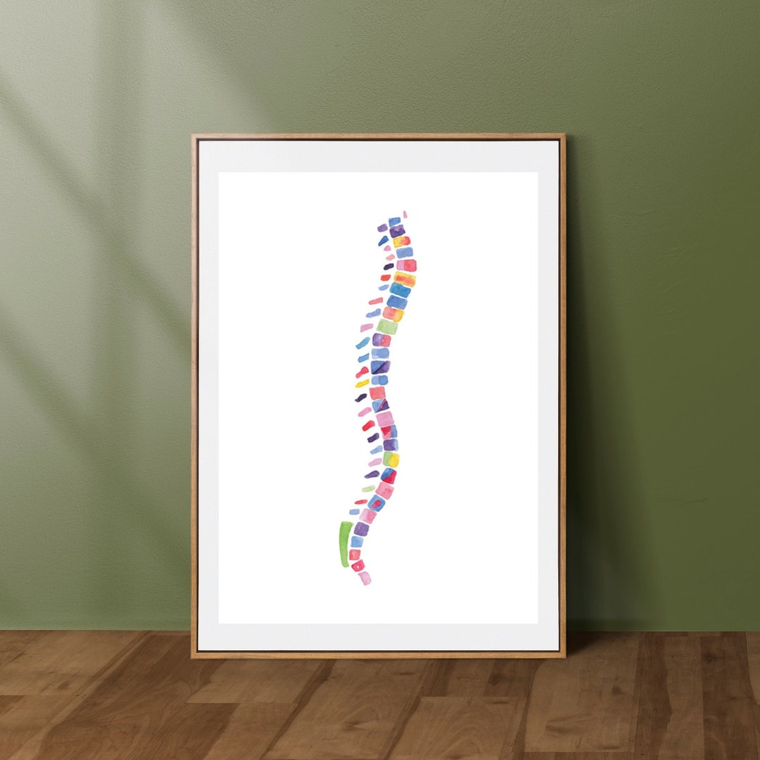Spine Print Anatomy Art Print Medical Art Spine Art Print Chiropractor ...