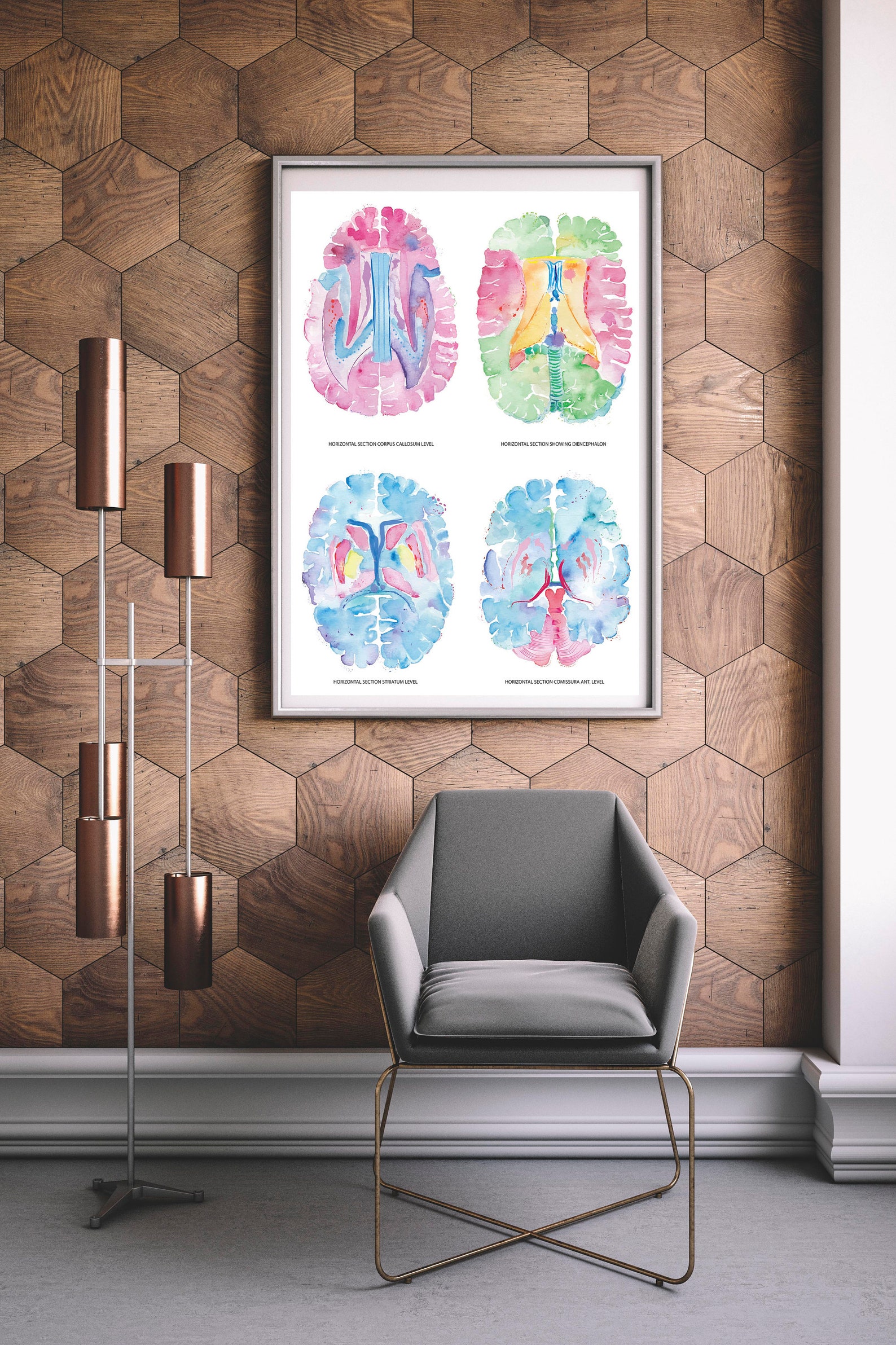 Brain Anatomy Art Neuroscience Art Neurology Art Neurology - Etsy