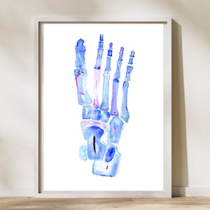 Foot Anatomy Art - Podiatry Gifts - Physical Therapy and Sports ...