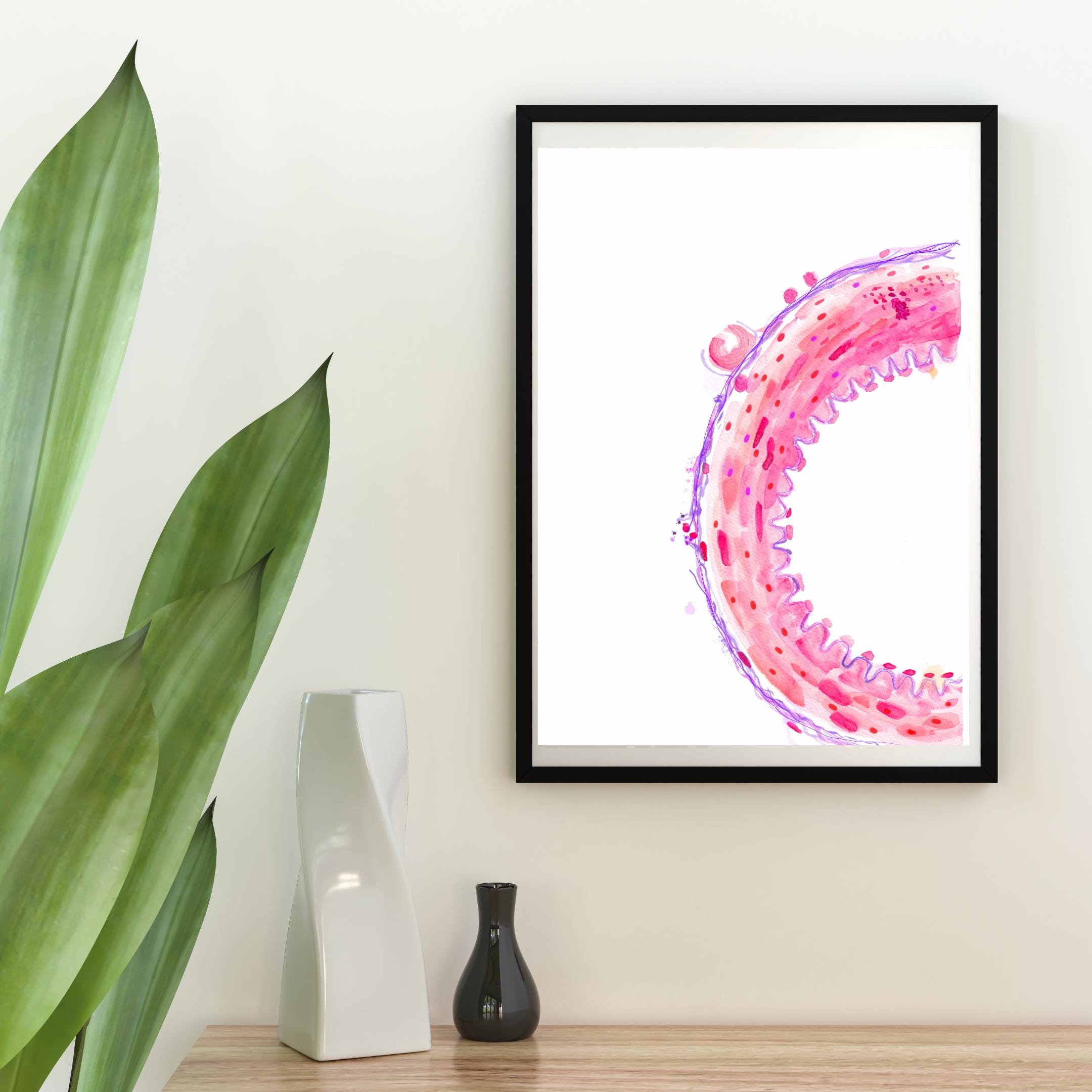 Artery - Histology Art, Pathology Assistant Gift, Histology Technician ...