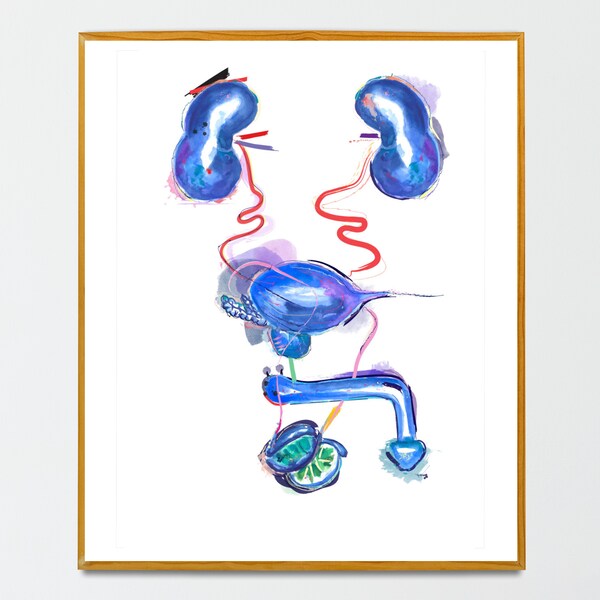 Urology Art - Etsy