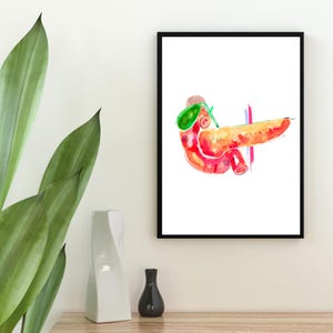 Pancreas Art, Gastrointestinal Art, GI Art, General Surgery Art ...