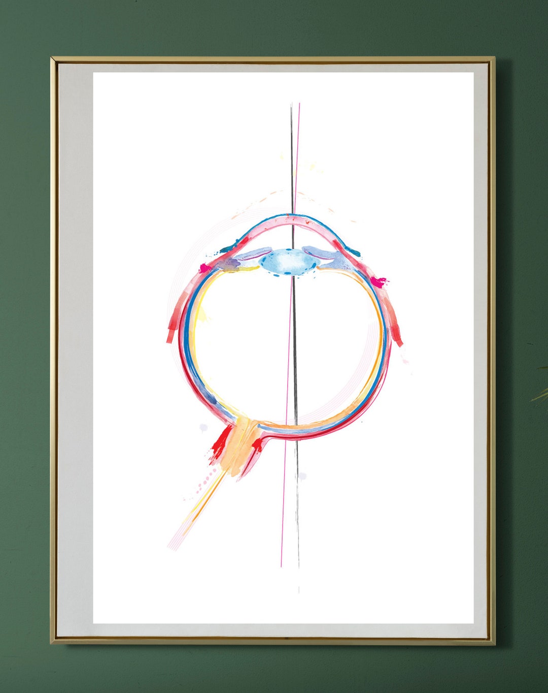 Eye Art Eye Anatomy Ophthalmology Gift Ophthalmology Art - Etsy