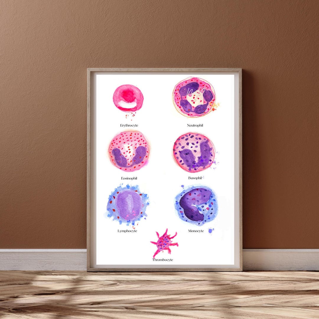 Blood Cells Art, Hematology Art Print, Medical Laboratory Artwork, Gift for Medical Lab ...