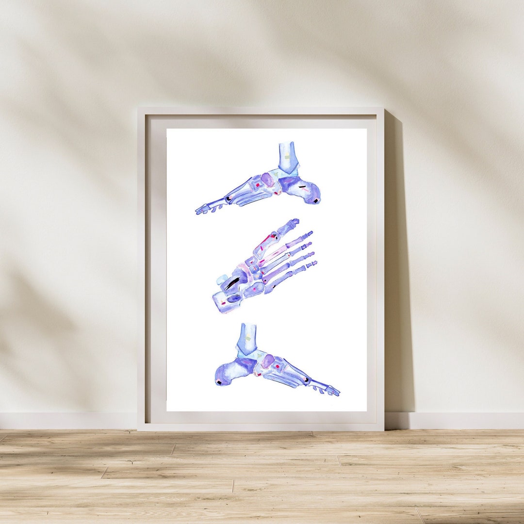 Foot Anatomy, Podiatry Graduation Gift, Podiatry Art, Orthopedic ...
