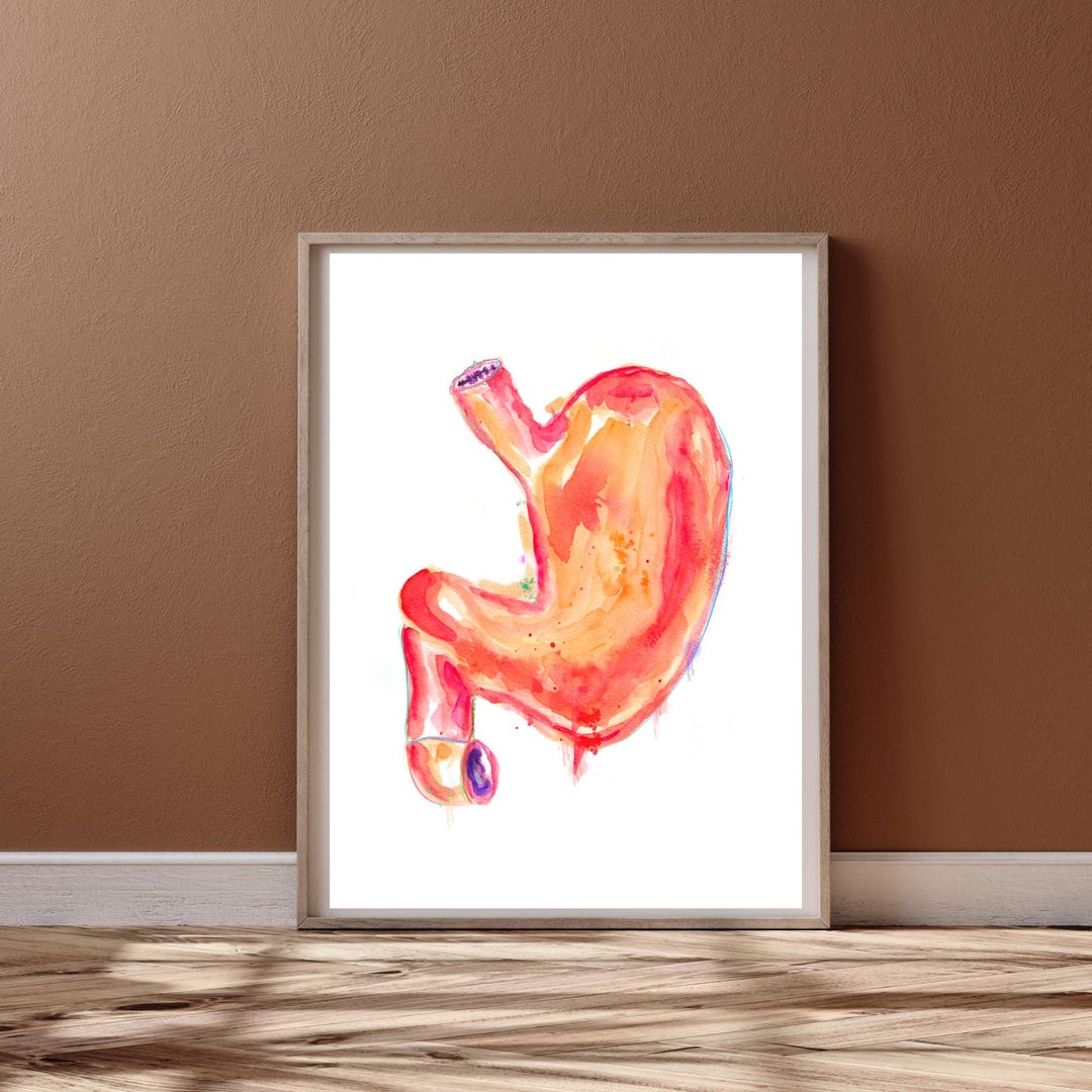 Stomach Anatomy Art, Gastroenterology Endoscopy Office Art ...