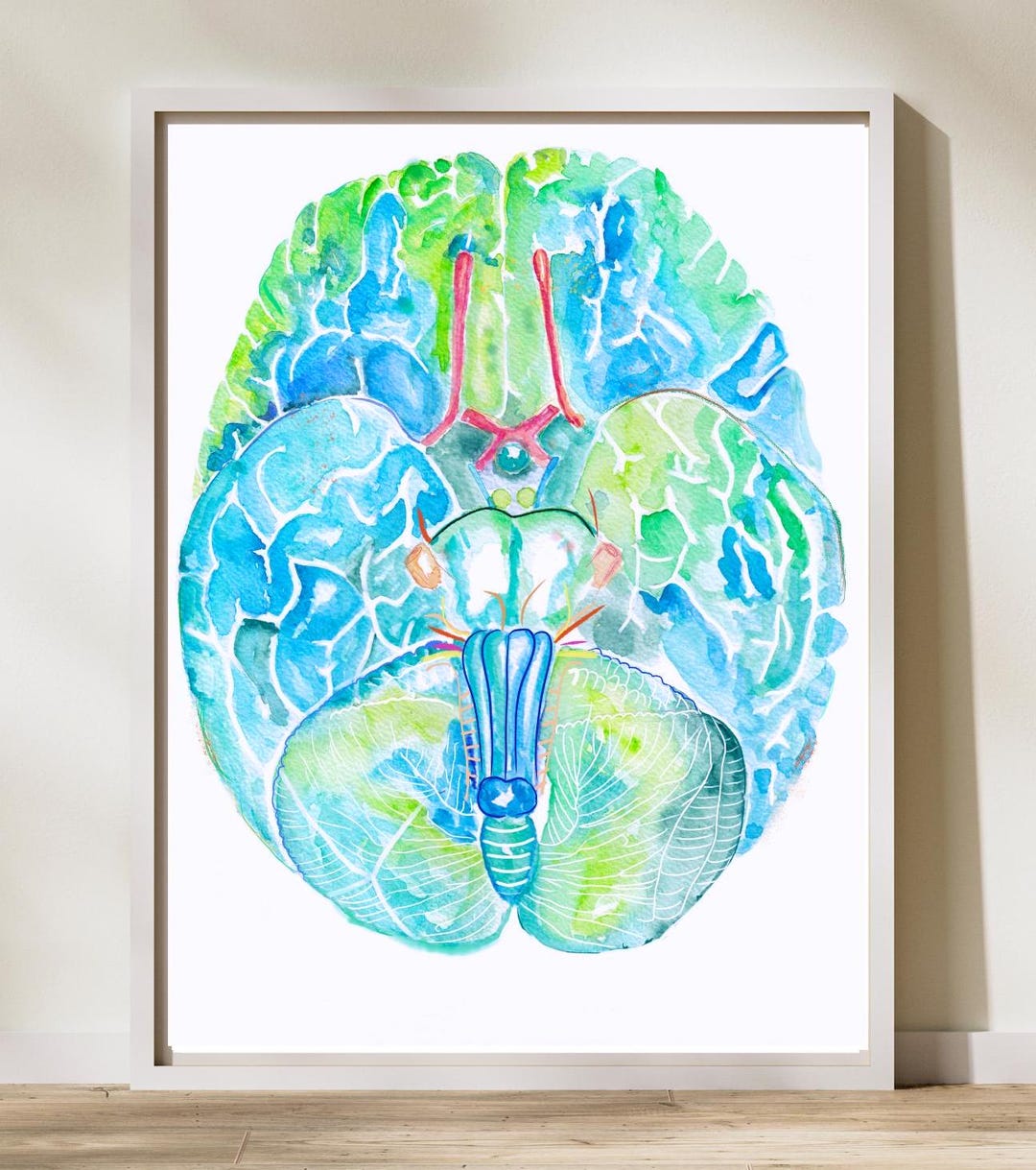 Brain Anatomy, Neurology Art, Neurobiology, Neurology Gift ...