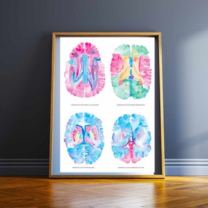 Brain Anatomy Art, Neuroscience Art, Neurology Art, Neurology Office ...