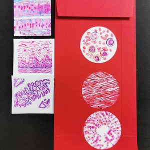 Histology Stickers, Set of 6, Pathology Stickers, Pathology Assistant ...