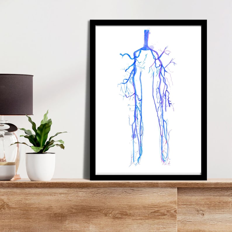 Lower Limb CTA, Radiology Art, Angio Tech, Vascular Surgery Fellowship ...