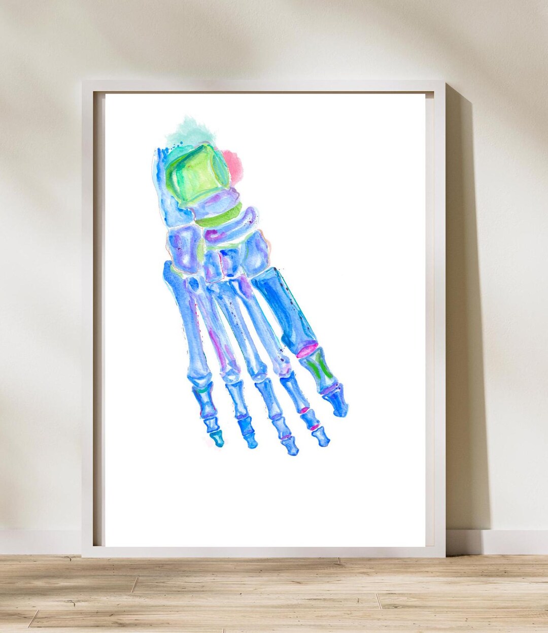 Foot Anatomy, Podiatry Art, Orthopedic Surgery Art, Physical Therapy ...