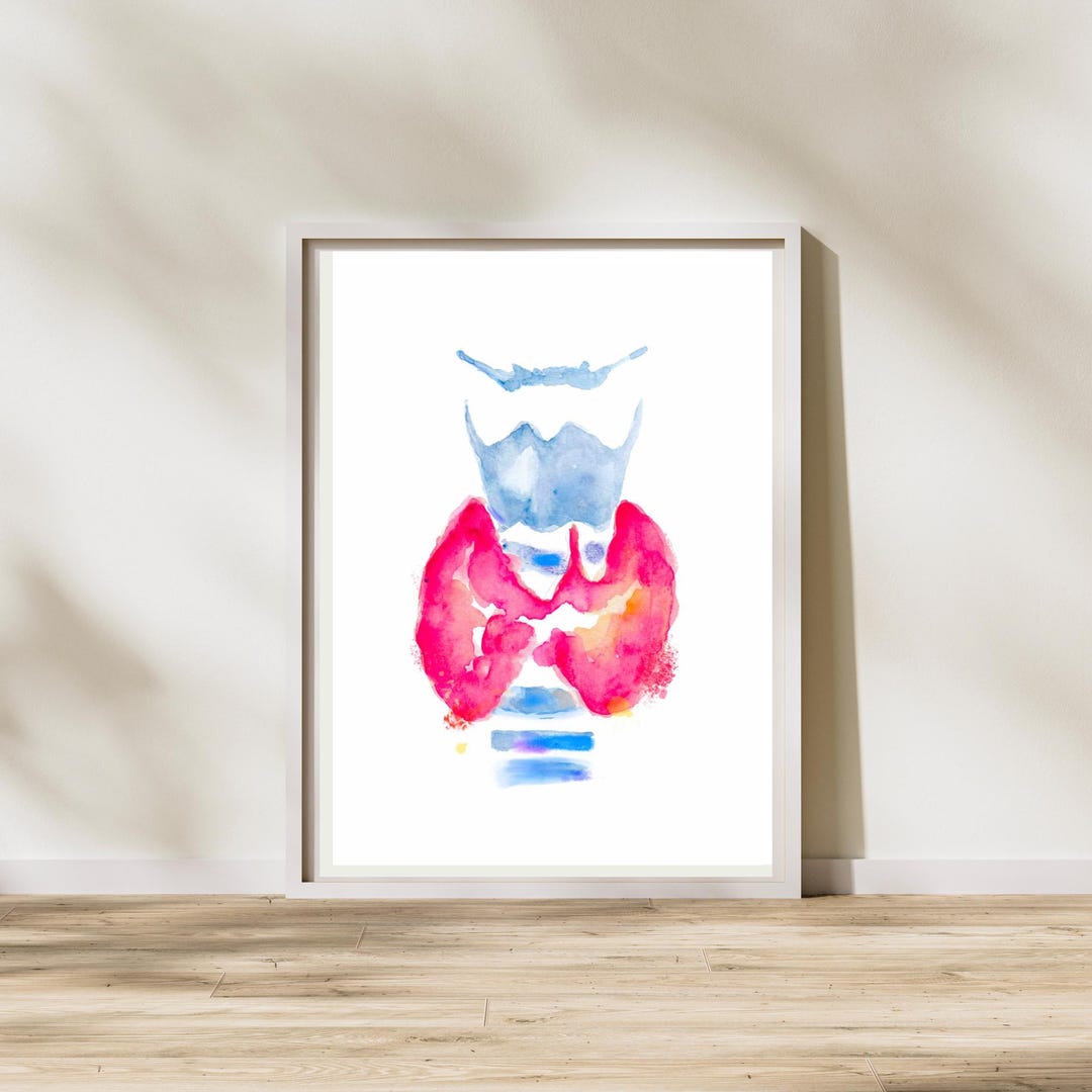 Thyroid Gland Abstract Anatomy Art - Endocrinology Office Wall Decor ...