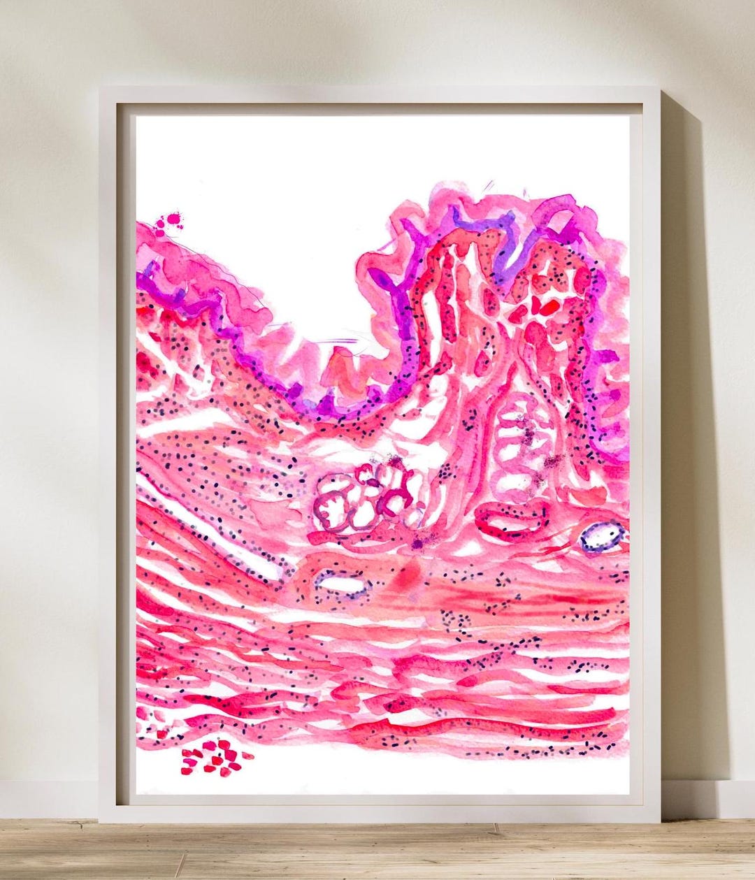 Esophagus Histology, Oesophagus, Gastrointestinal Art, Biopsy Art ...