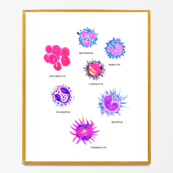 Human Cell Art - Etsy