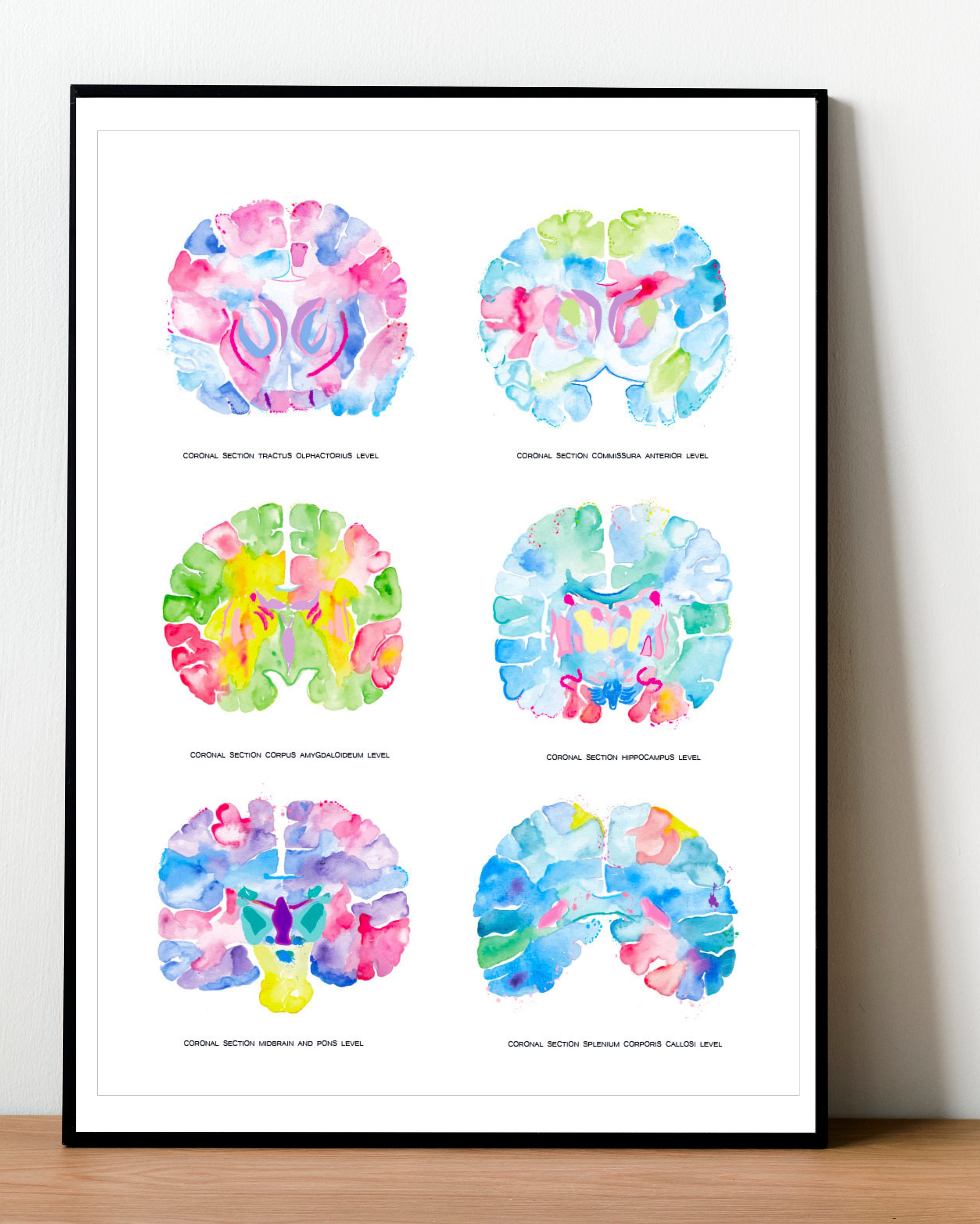 Neuroscience Brain Art