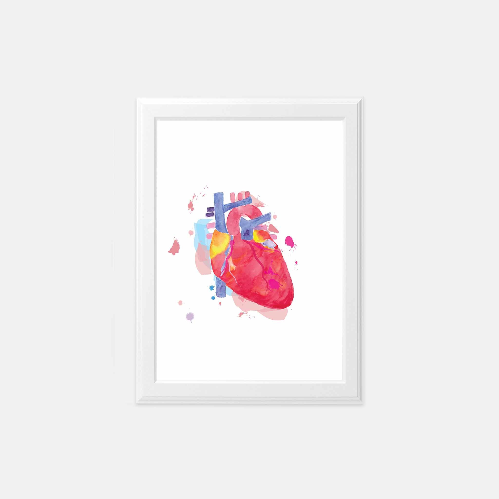 Heart Anatomy Art Print Medical Office Wall Art Cardiology | Etsy