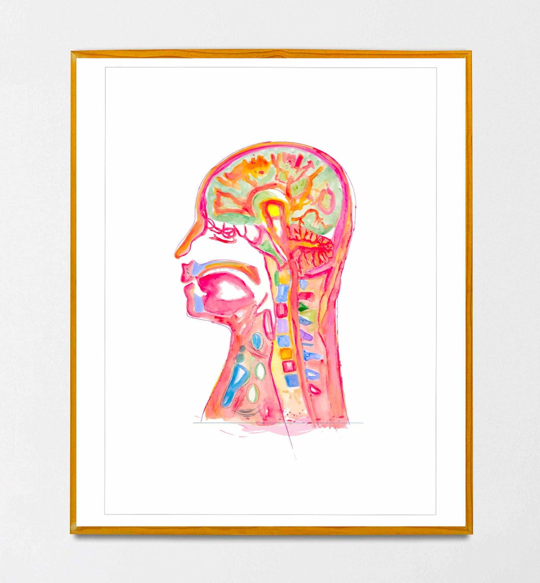 Head and Neck Anatomy ENT Art Print Neurology Art ENT - Etsy