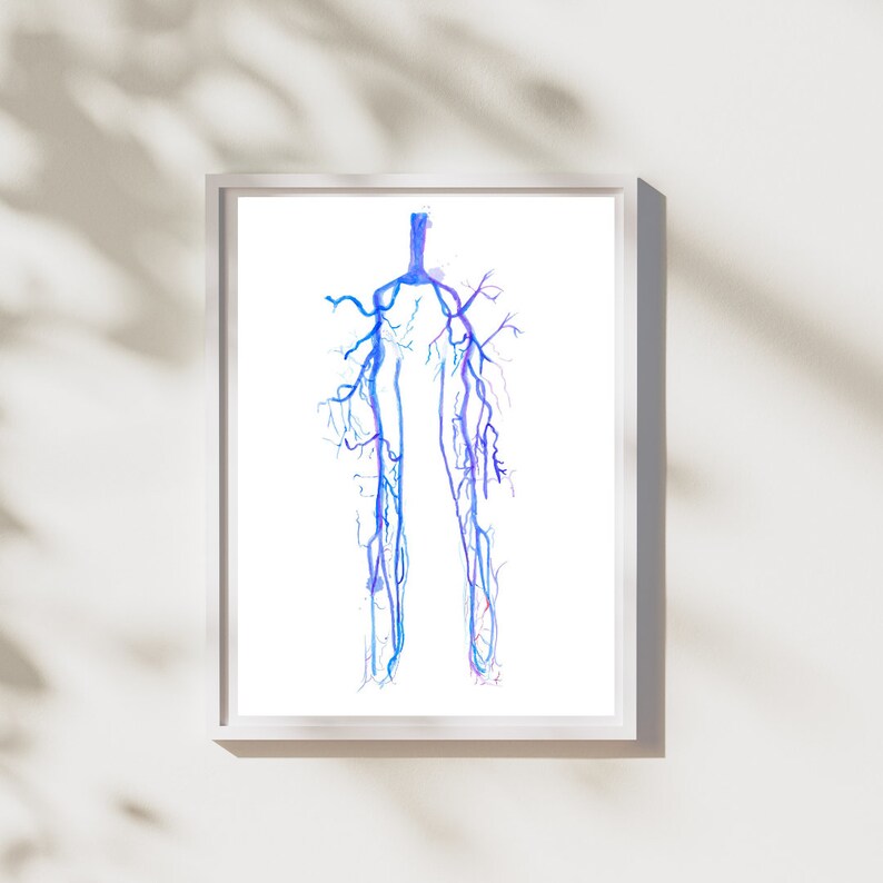 Lower Limb CTA, Radiology Art, Angio Tech, Vascular Surgery Fellowship ...