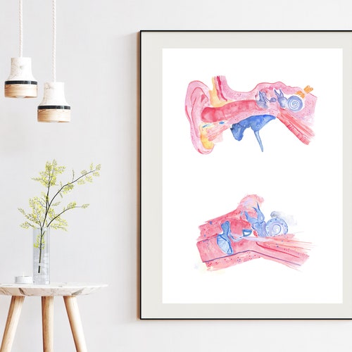 Ear Watercolor Print Audiology ENT and Speech Path Art | Etsy