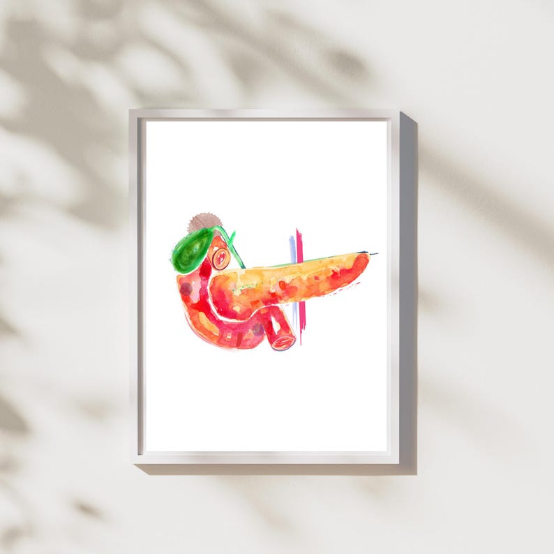 Pancreas Art, Gastrointestinal Art, GI Art, General Surgery Art ...