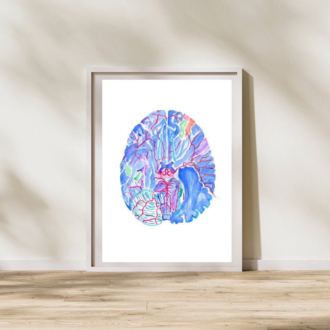 Circle of Willis, Brain Anatomy, Neurology Art, Neurologist Gift, Brain ...