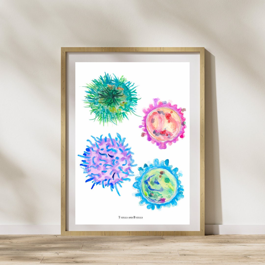 Lymphocytes Immune Cells Art Print Immunology Molecular Biology Wall ...