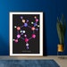 Glucose Molecule, Biochemistry Poster, Chemistry Art, Pharmacy Tech ...