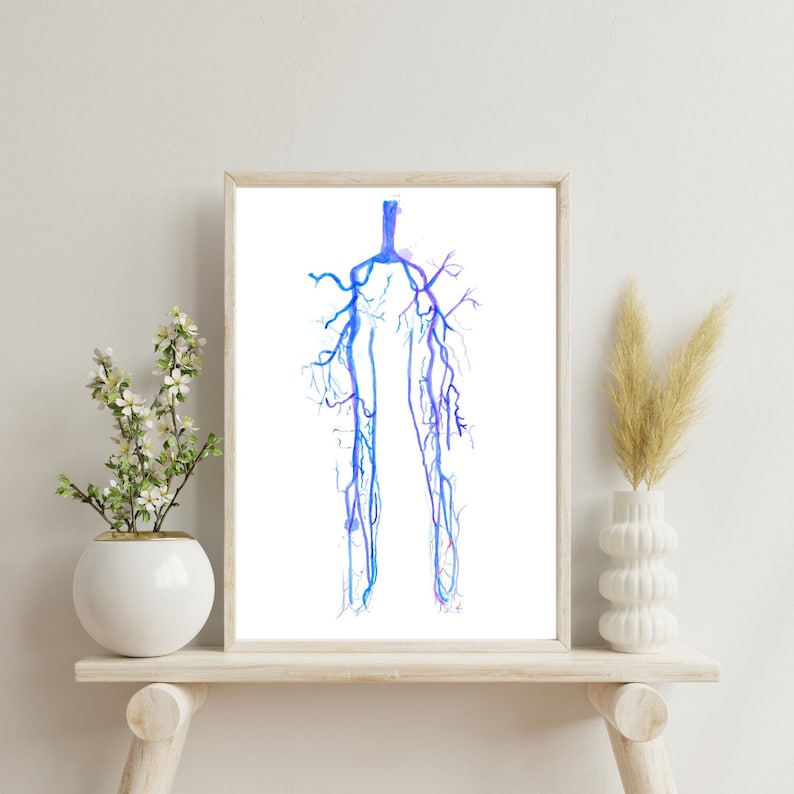 Lower Limb CTA, Radiology Art, Angio Tech, Vascular Surgery Fellowship ...