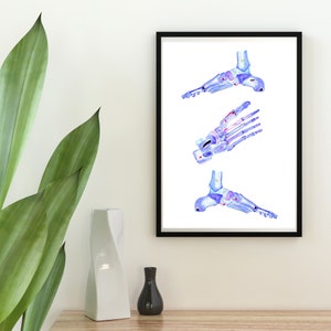 Foot Anatomy, Podiatry Graduation Gift, Podiatry Art, Orthopedic ...