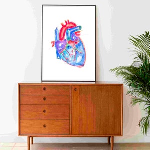 Heart Anatomy, Cardiology Art, Heart Decor, Cardiology Department Wall ...