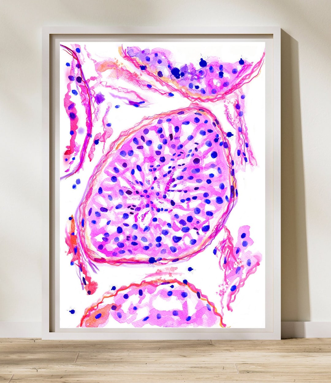 Testis Histology, Urology Art, Pathology Art, Testicular, Fertility Art ...