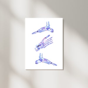 Foot Anatomy, Podiatry Graduation Gift, Podiatry Art, Orthopedic ...