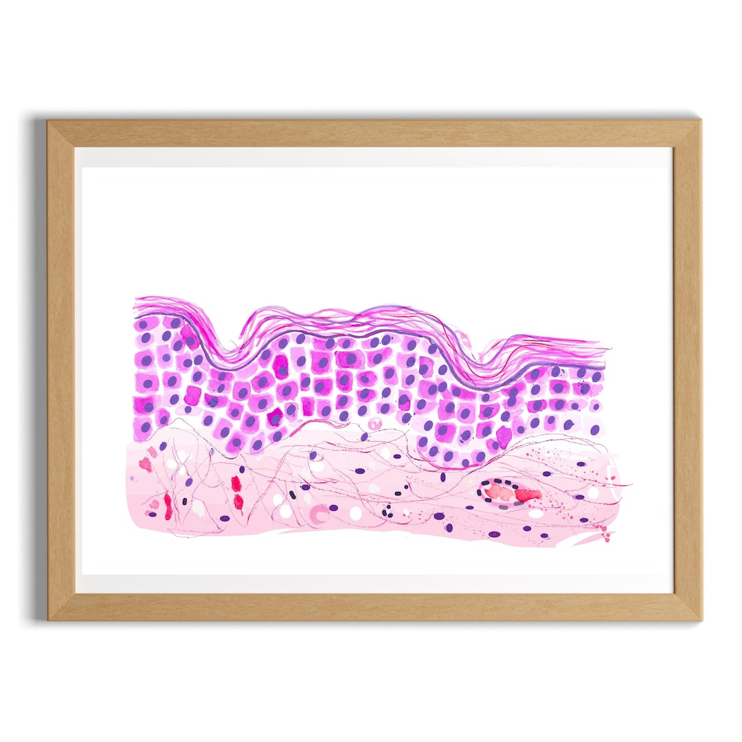 Skin Histology Art, Dermatologist Gift, Dermatopathology Print ...