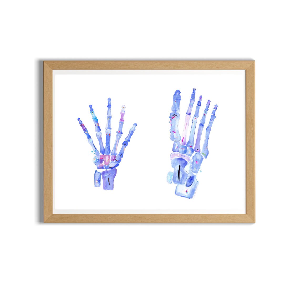Hand and Foot Anatomy Art, Orthopedic Surgery, Hand Surgery, Physical ...