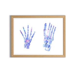 Hand and Foot Anatomy Art, Orthopedic Surgery, Hand Surgery, Physical ...
