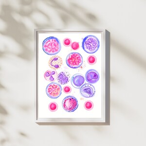 Blood Cell Art, Biology Gifts, Cell Biology Art, Hematology Art ...