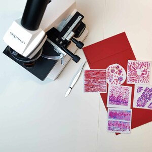 Histology Stickers, Set of 6, Pathology Stickers, Pathology Assistant ...