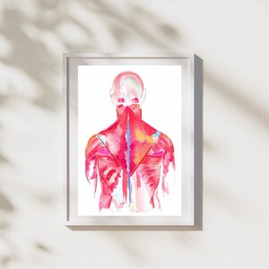 Muscle Anatomy Art, Torso Art, Physical Therapy Art, Chiropractic Art ...