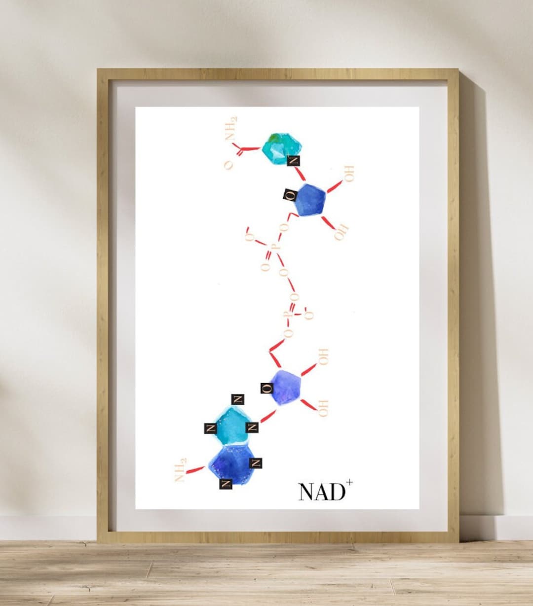NAD+ Molecule Art, Anti-aging Medicine Print, Biochemistry Art ...