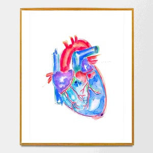 Heart Anatomy, Cardiology Art, Heart Decor, Cardiology Department Wall ...