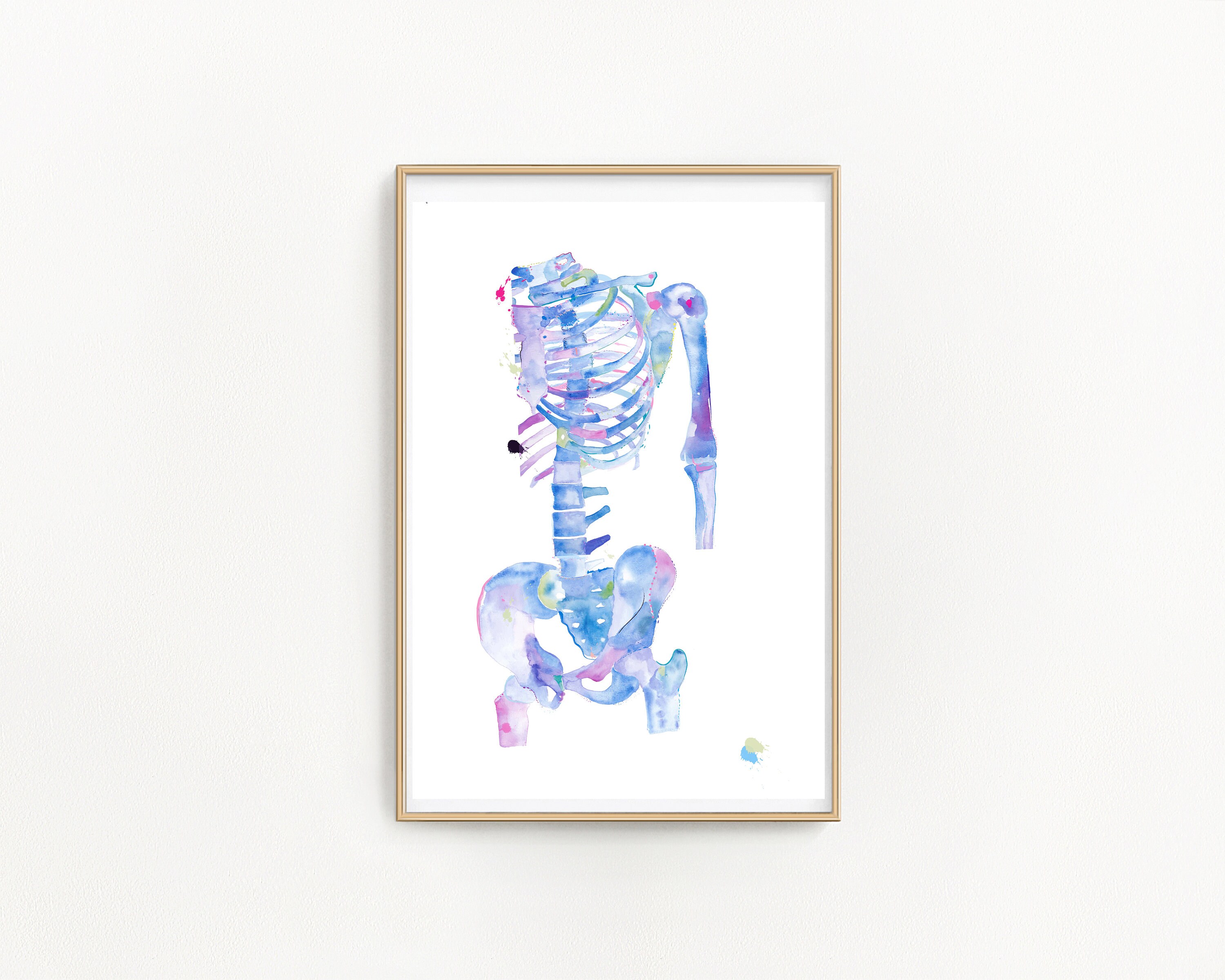 Skeleton Anatomy Art Human Anatomy Art Physical Therapy | Etsy Australia