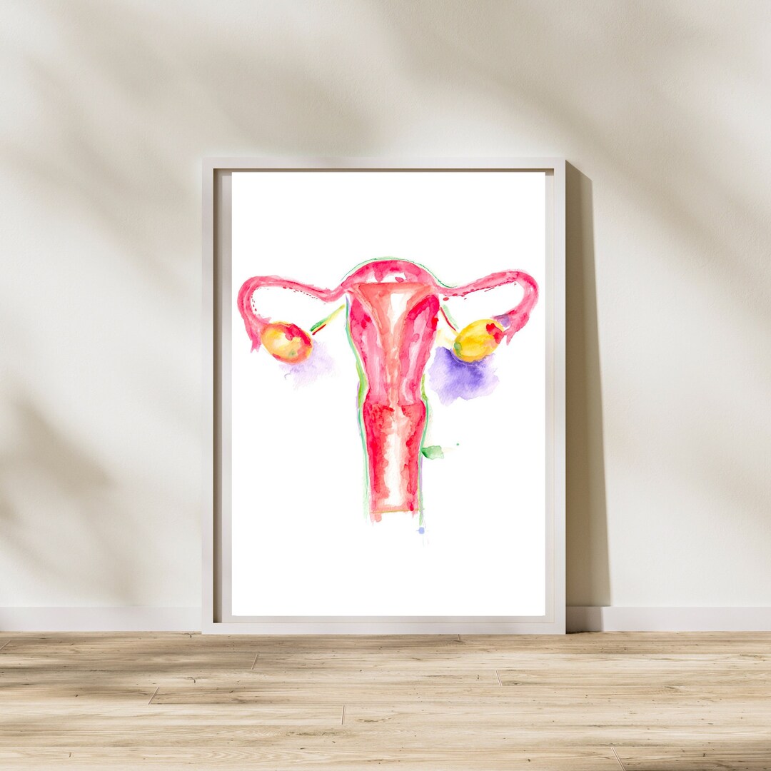Uterus Anatomy Obgyn Artwork Gynecology Wall Art Obgyn T Midwife