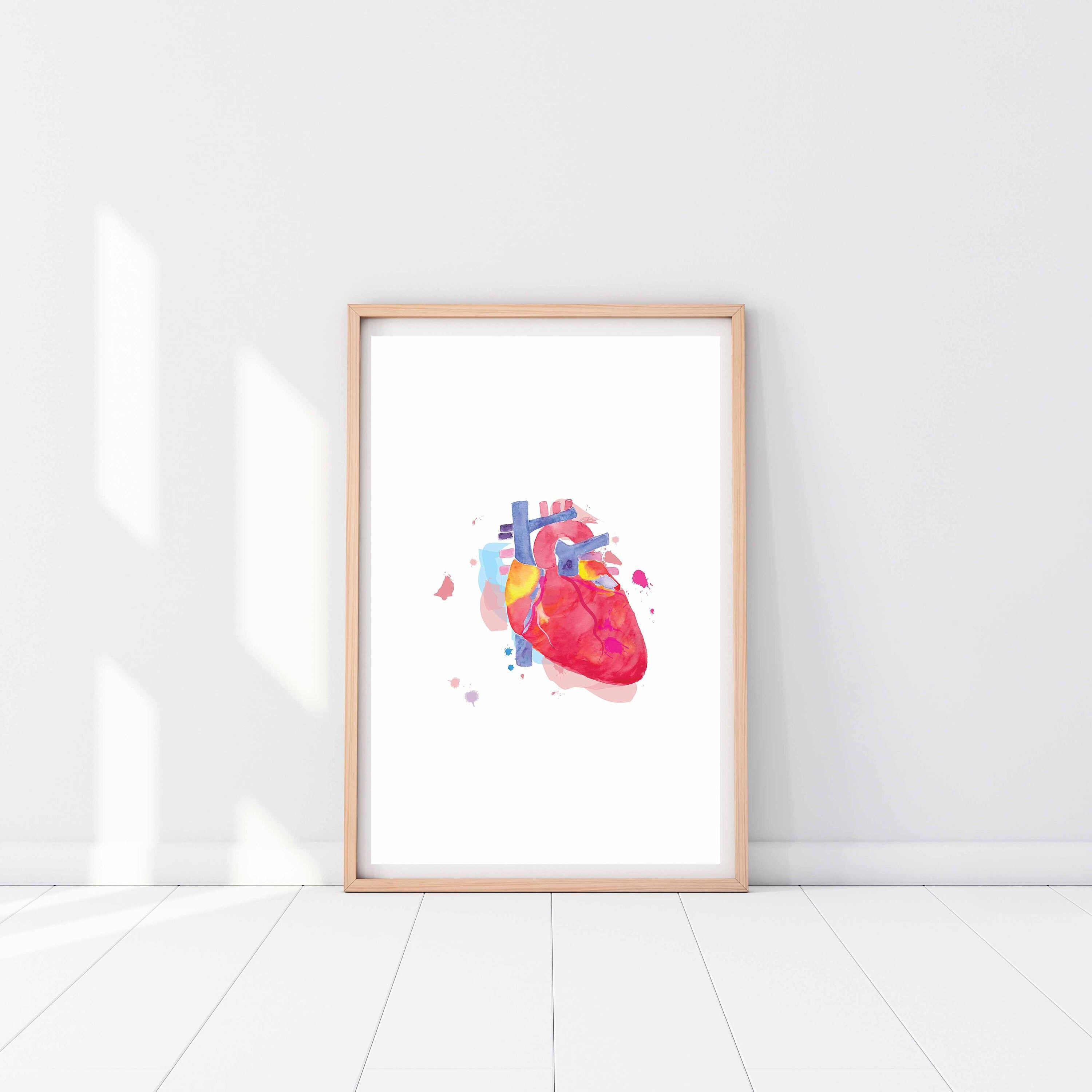 Heart Anatomy Art Print Medical Office Wall Art Cardiology | Etsy